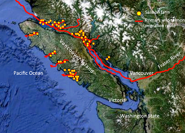 ‘Fish Farms Update’ | END RACE BASED LAW inc. Canada FEATURE STORIES